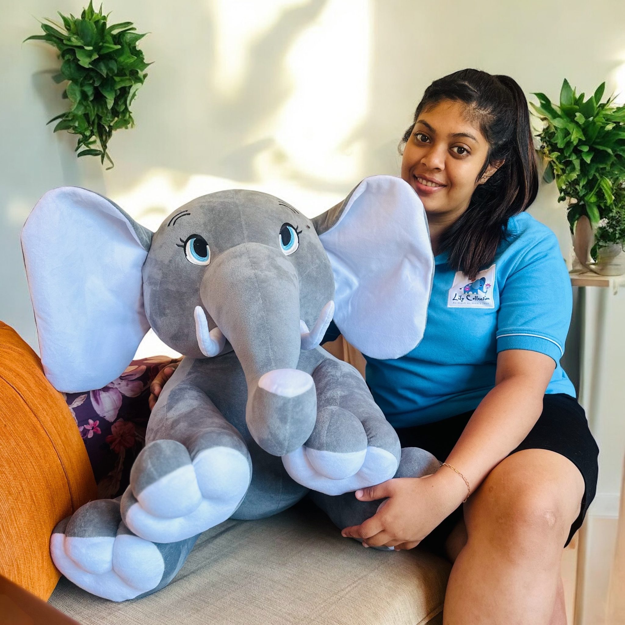 Shop Best Soft Toys Online for Perfect Gifts - Lily Collection